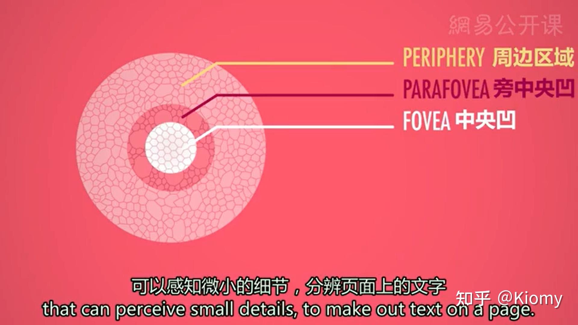 Crash Course | Study Skill - 知乎