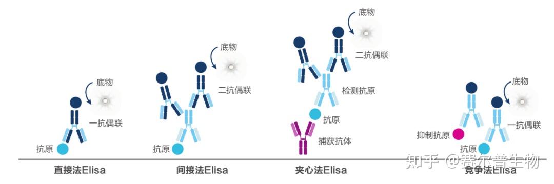 ELISA实验 | 常见问题汇总 - 知乎