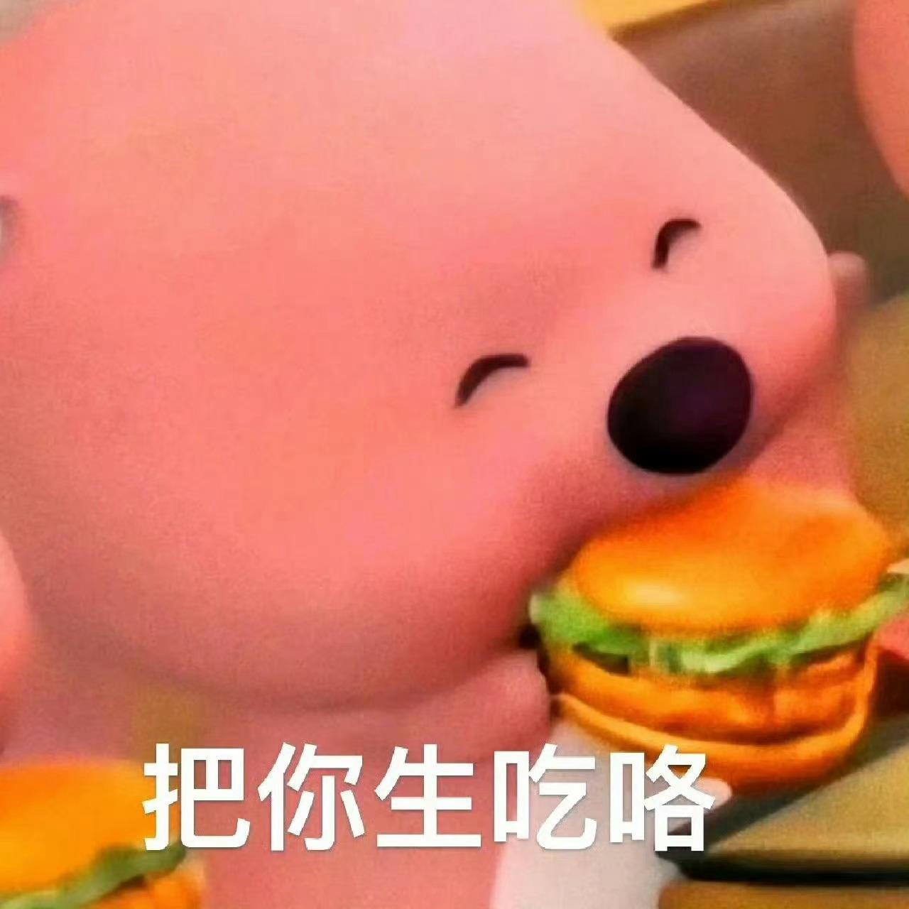 loopy表情包合集 - 知乎