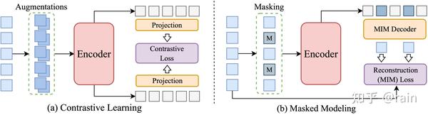 Masked Modeling Survey - 知乎