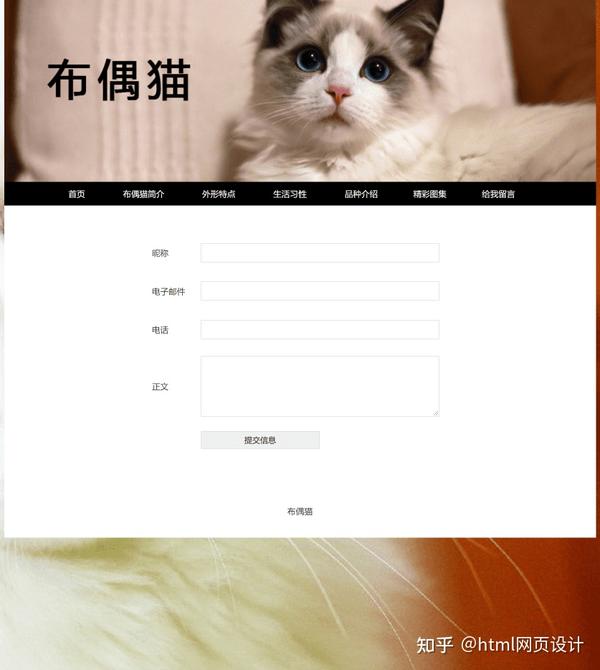 制作一个简单HTML宠物猫网页（HTML+CSS） - 知乎