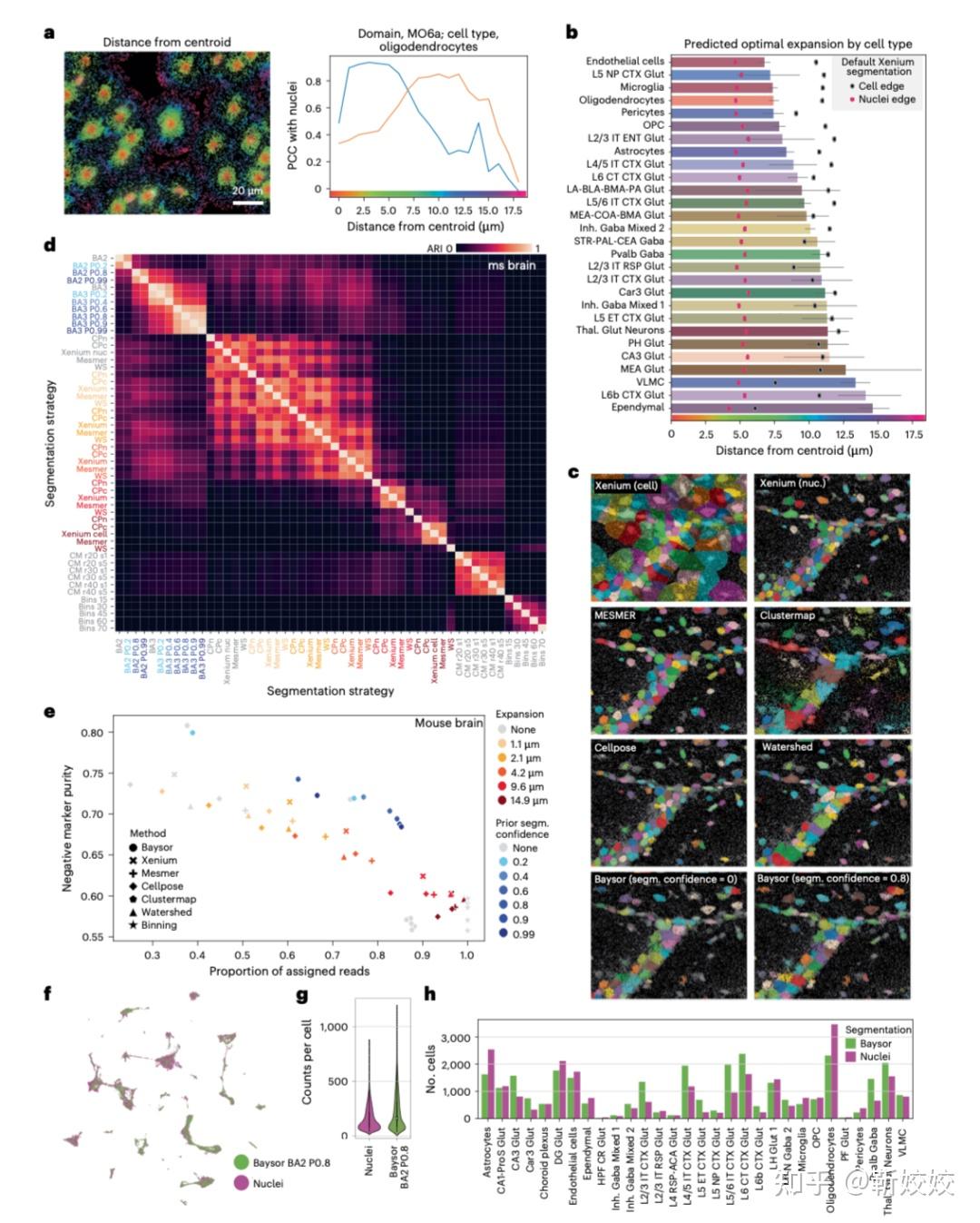 最近Xenium技术有点火？看看这篇《Nature Methods》怎么说！ - 知乎
