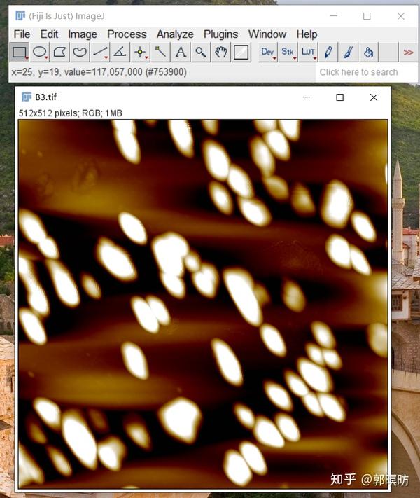 ImageJ使用心得之Particle Analysis （二） - 知乎