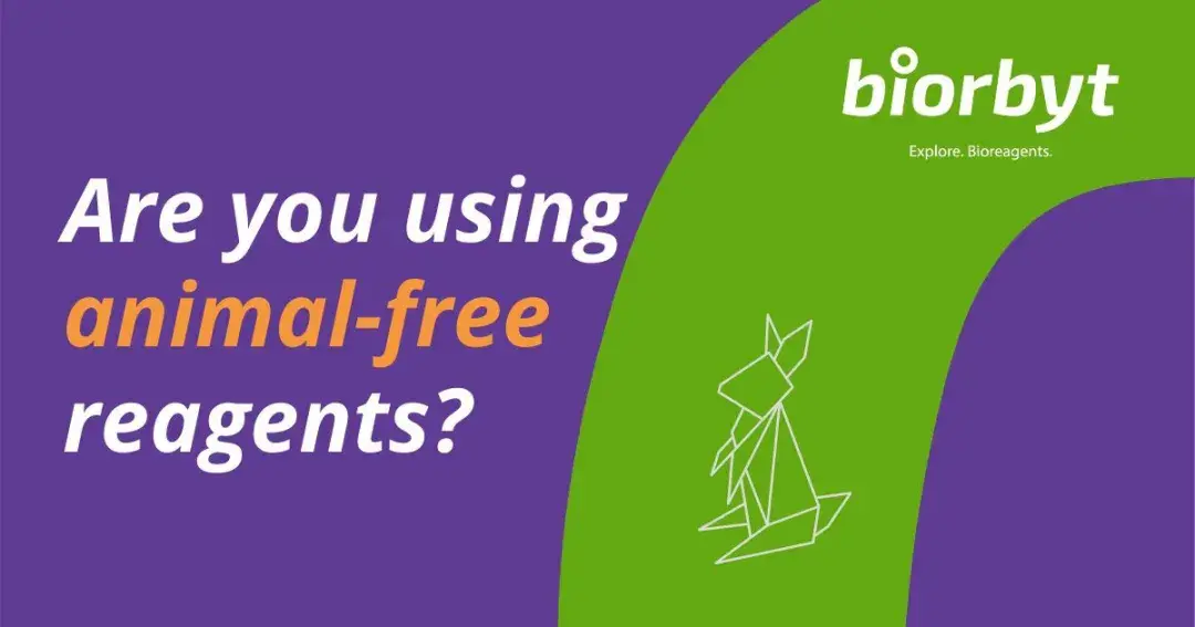 研究中的“3R”原则 - 知乎