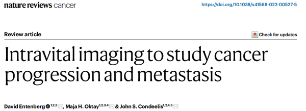 Nat Rev | 活体成像研究癌症的发展和转移 - 知乎
