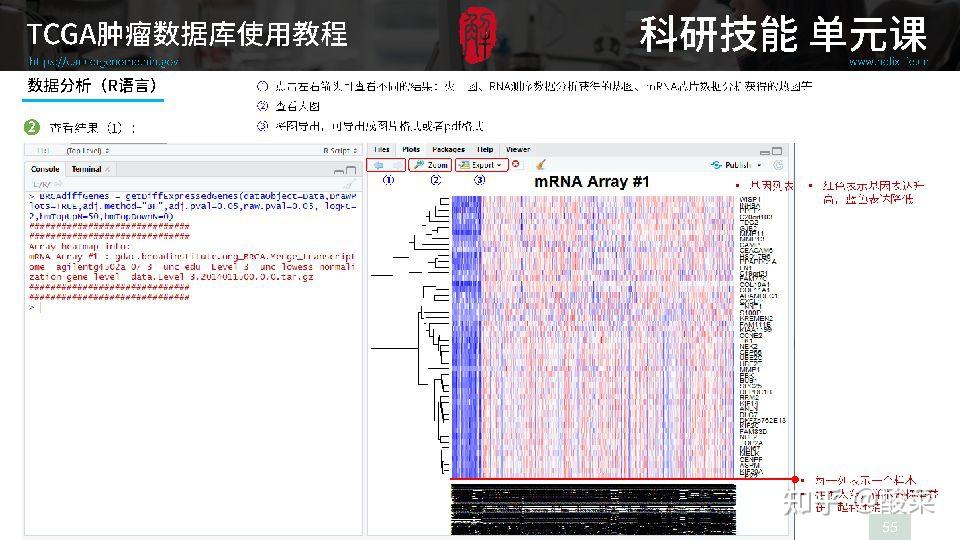 TCGA新版数据下载与整理教程来了！来抄作业！ - 知乎
