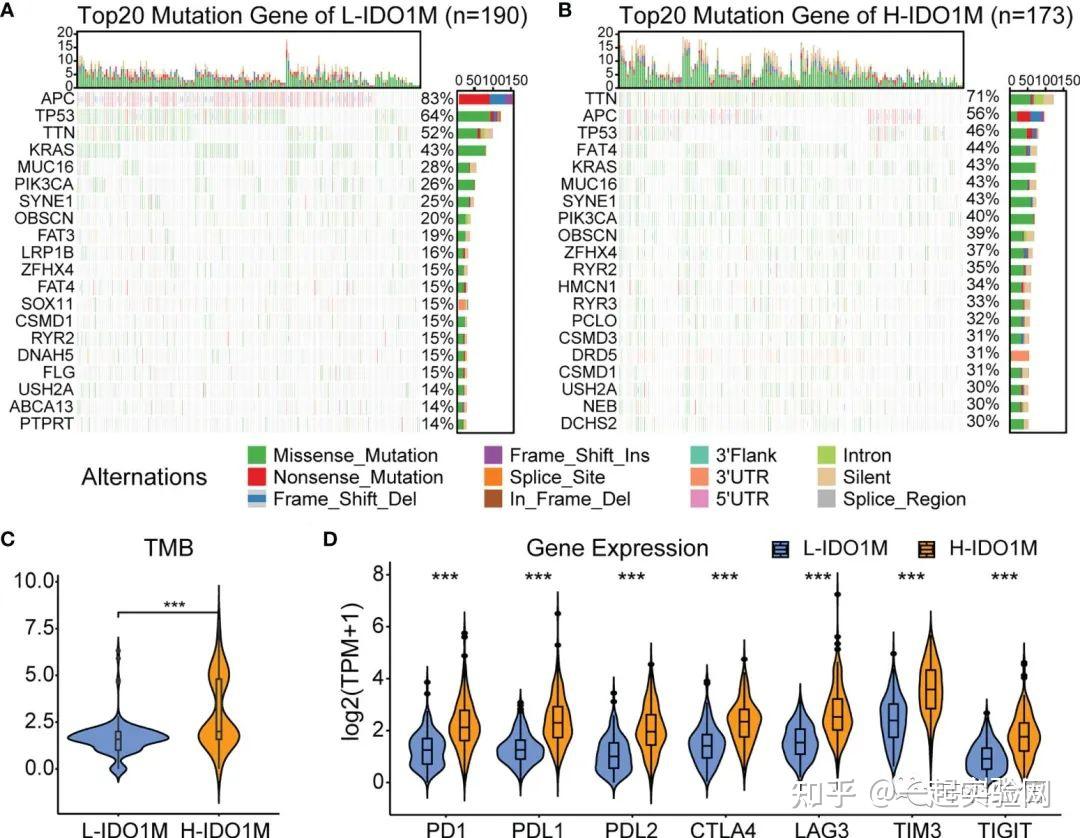 8+单细胞+结直肠癌 - 知乎