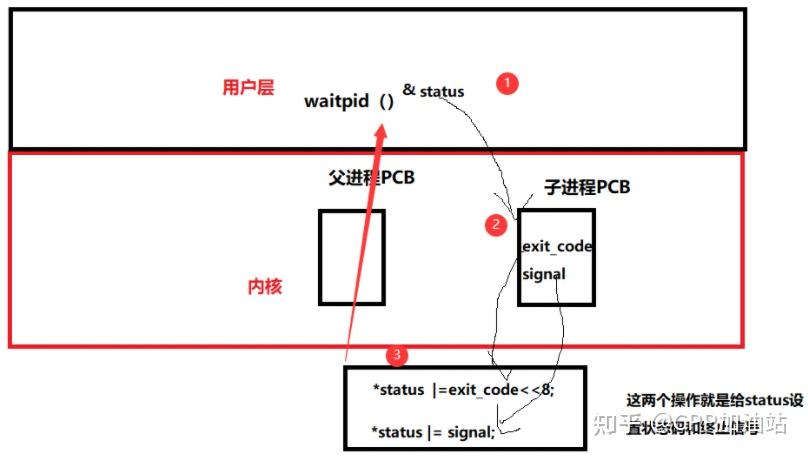 【Linux】进程控制（wait 和 waitpid）的理解和使用 - 知乎