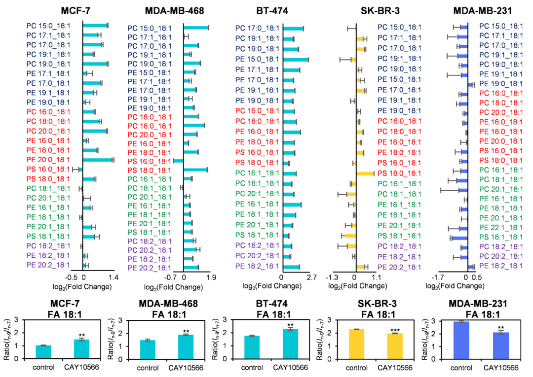 Research︱清华大学欧阳证 马潇潇团队利用结构脂质组学技术揭示乳腺癌细胞的单不饱和脂质代谢重塑 知乎