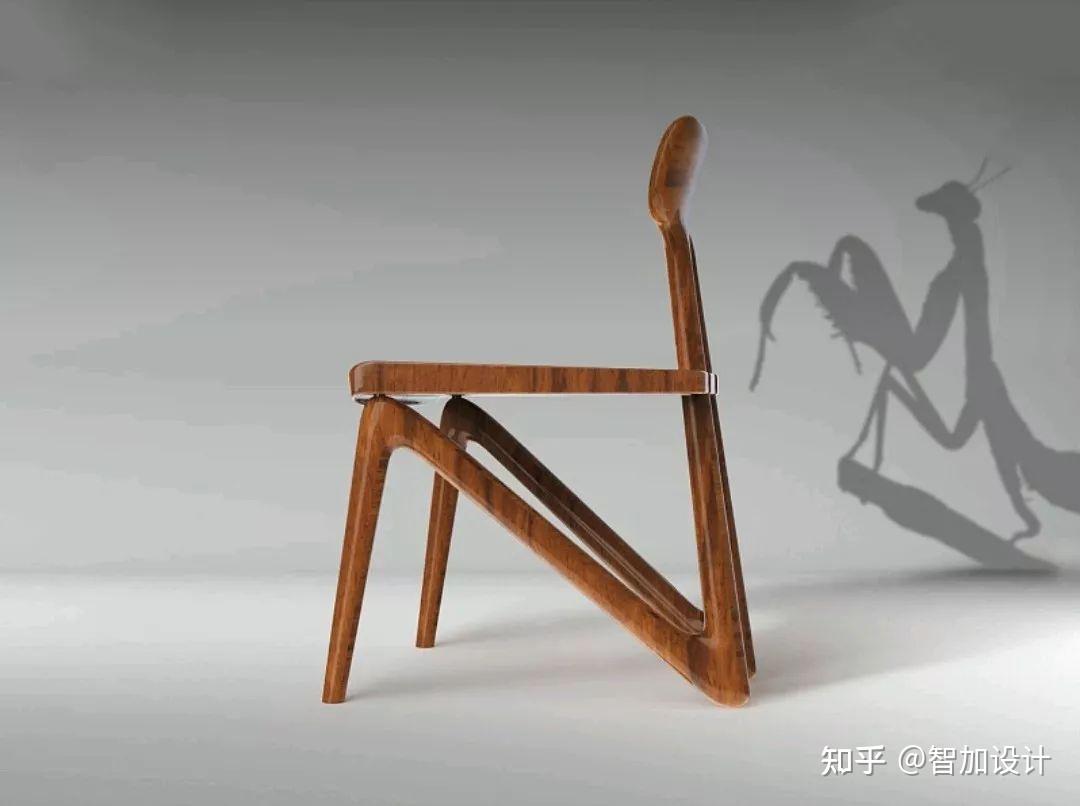 仿生设计——来自大自然的馈赠 知乎
