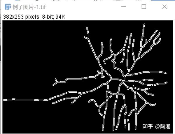 ImageJ分析细胞形态 - 知乎