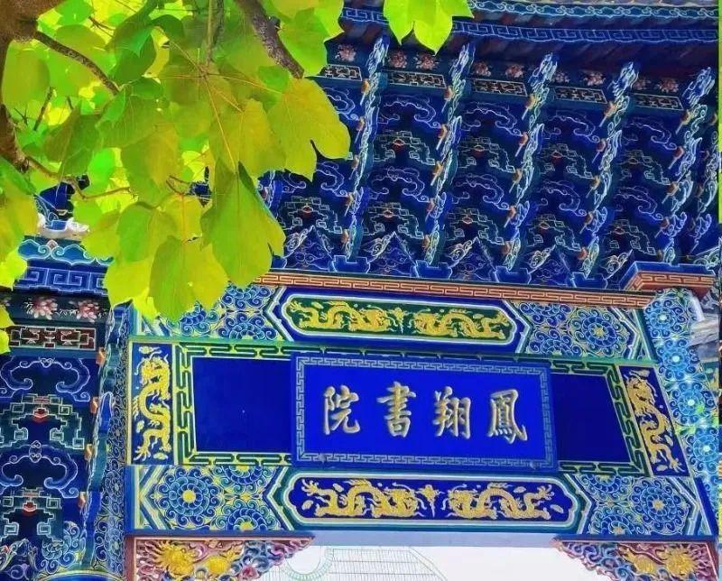 凤翔书院｜穿过百年岁月，再度满树金黄 - 知乎