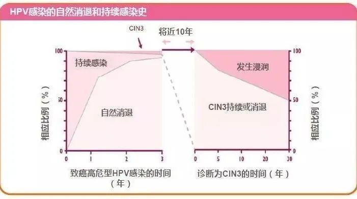 感染HPV，90%可以自愈，不用治？ - 知乎