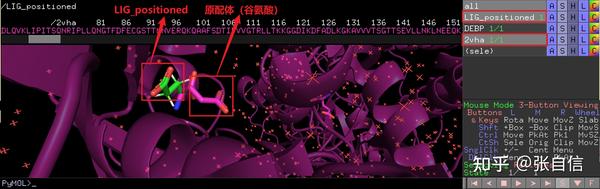 【爆肝万字】基于Rosetta的配体结合位点的设计（Rosetta and the Design of Ligand Binding ...
