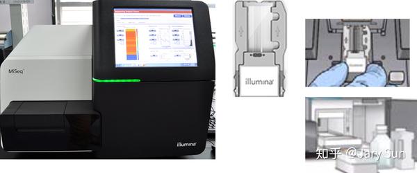 Illumina Hiseq/Miseq测序原理简介 - 知乎