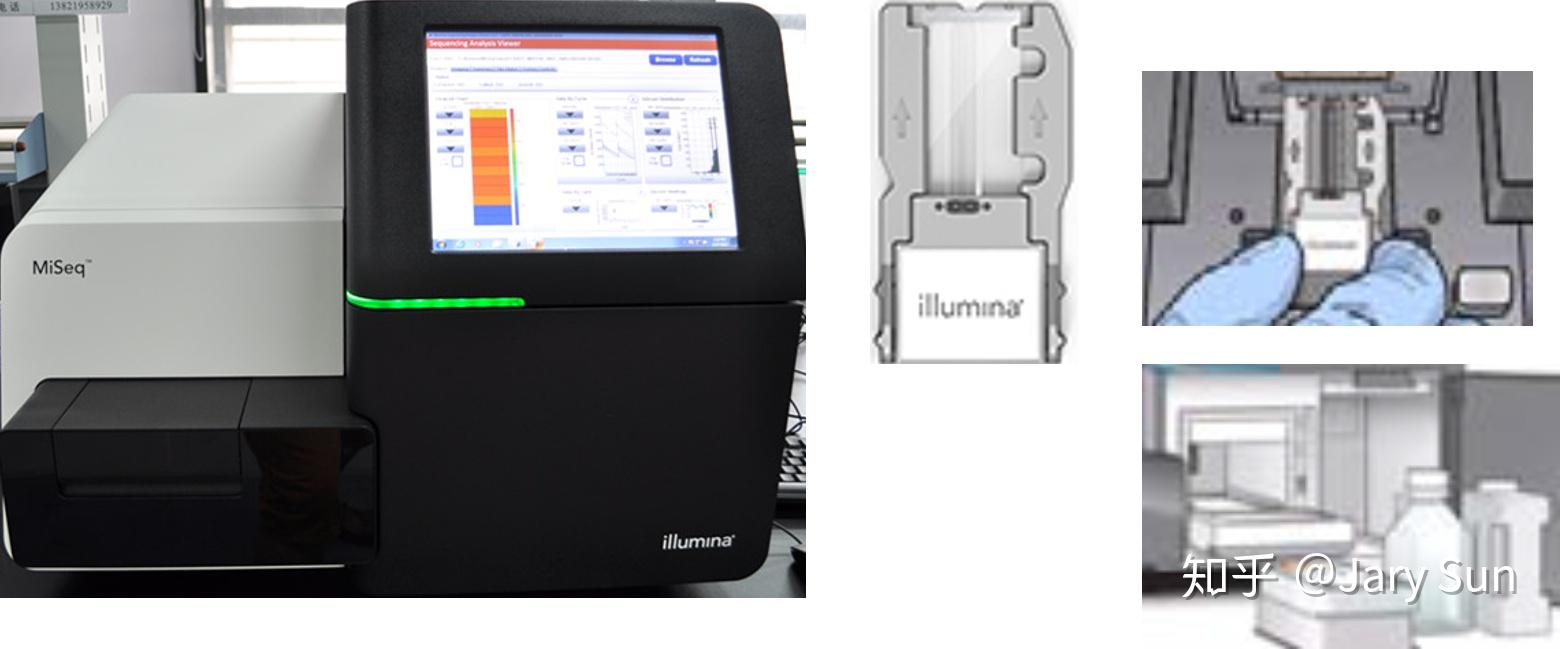 Illumina Hiseq/Miseq测序原理简介 - 知乎