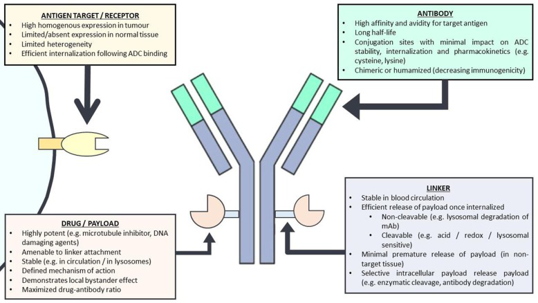 针对非小细胞肺癌的抗体偶联药物：PD-1时代后的新秀 - 知乎