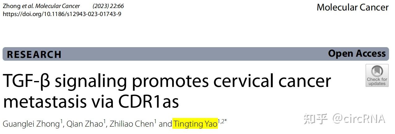 Mol cancer丨中山大学孙逸仙纪念医院姚婷婷/钟广雷团队揭示环状RNA促进宫颈癌转移 - 知乎