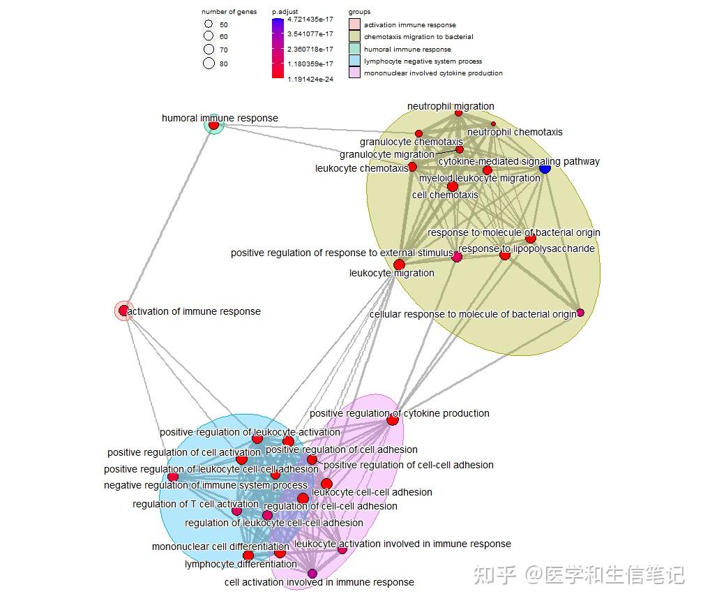 enrichplot富集分析可视化 - 知乎
