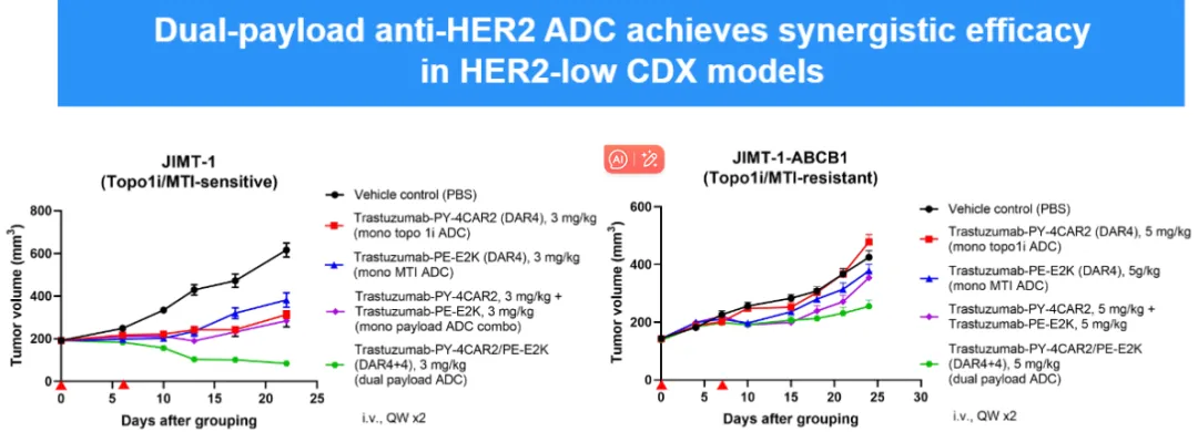AACR2025：新型叶酸/CDH6双靶点+双毒素ADC克服传统ADC耐药，卵巢癌模型完全消退 - 知乎