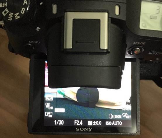 一机走天下？关于索尼RX10 M4的心得与吐槽 - 知乎