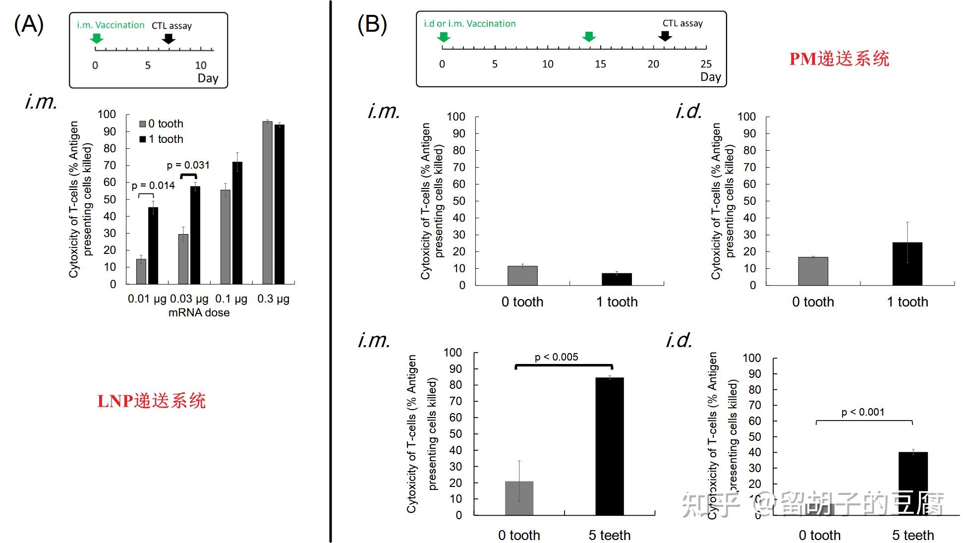 mRNA疫苗抗原序列嵌合dsRNA佐剂，增强癌症治疗过程中的细胞免疫。 - 知乎