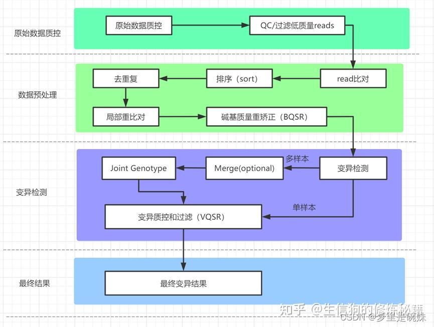 WGS全基因组测序数据分析教程（二） - 知乎