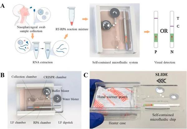 产品学习 | 一款 “微流控+CRISPR+RPA+层析试纸” 的集成系统实现无仪器核酸检测 - 知乎
