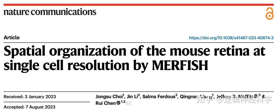 Nat Commun | 美国贝勒医学院陈睿团队利用MERFISH技术首次构建小鼠视网膜的单细胞空间图谱 - 知乎