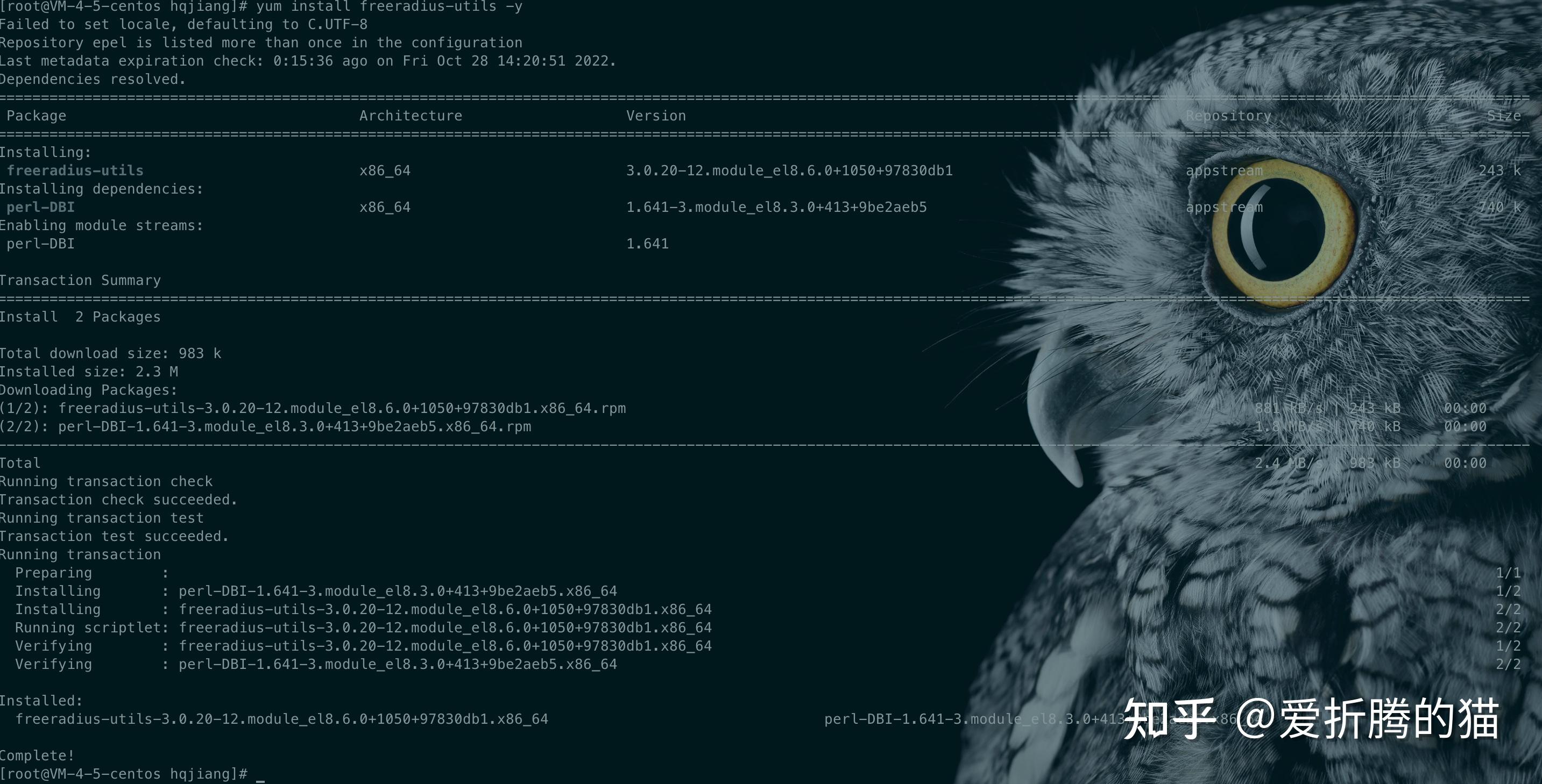【保姆教程】RuoYi-Radius搭建实现portal认证 - 知乎