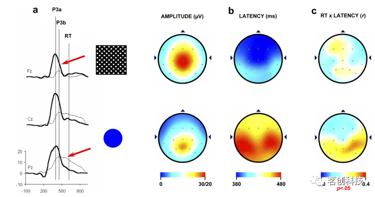 经典再读 | P3a与P3b的整合理论 - 知乎