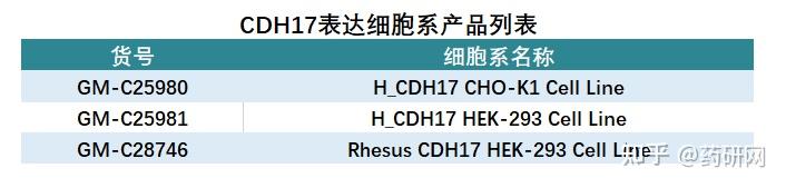 实体瘤靶点新秀：CDH17 - 知乎