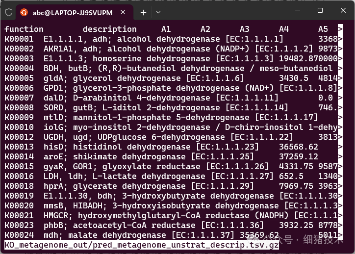 PICRUSt2标准分步分析流程实操 - 知乎