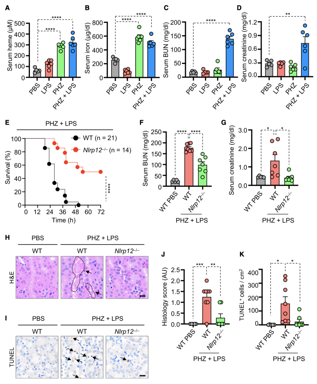 Cell丨NLRP12——PANoptosis新关键分子 - 知乎