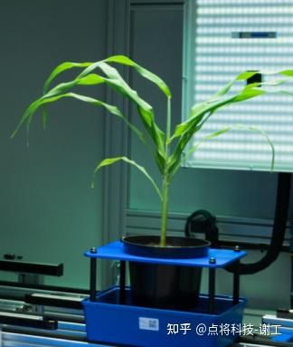 PlantScreen SC植物表型成像系统 - 知乎