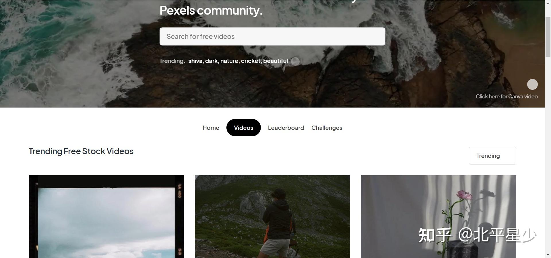 4K、高清、无水印视频素材库，你要的素材来啦~ - 知乎