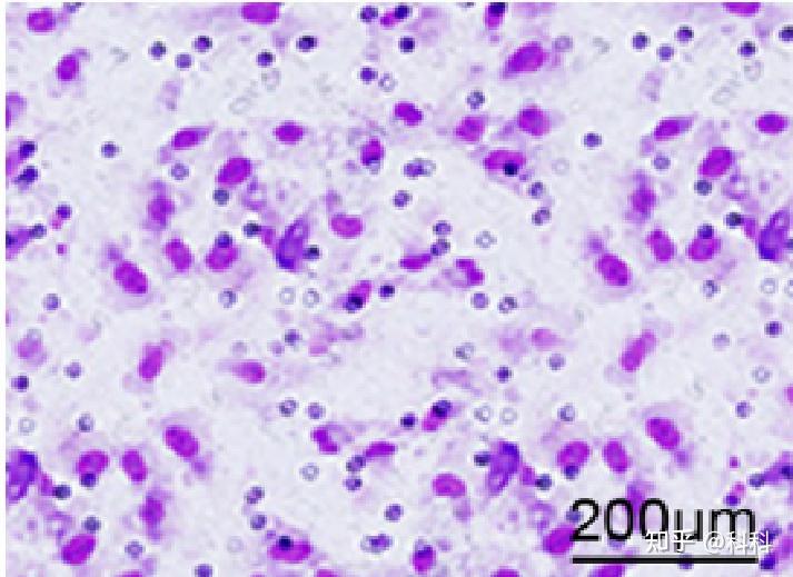 Figcheck图片查重 - 知乎