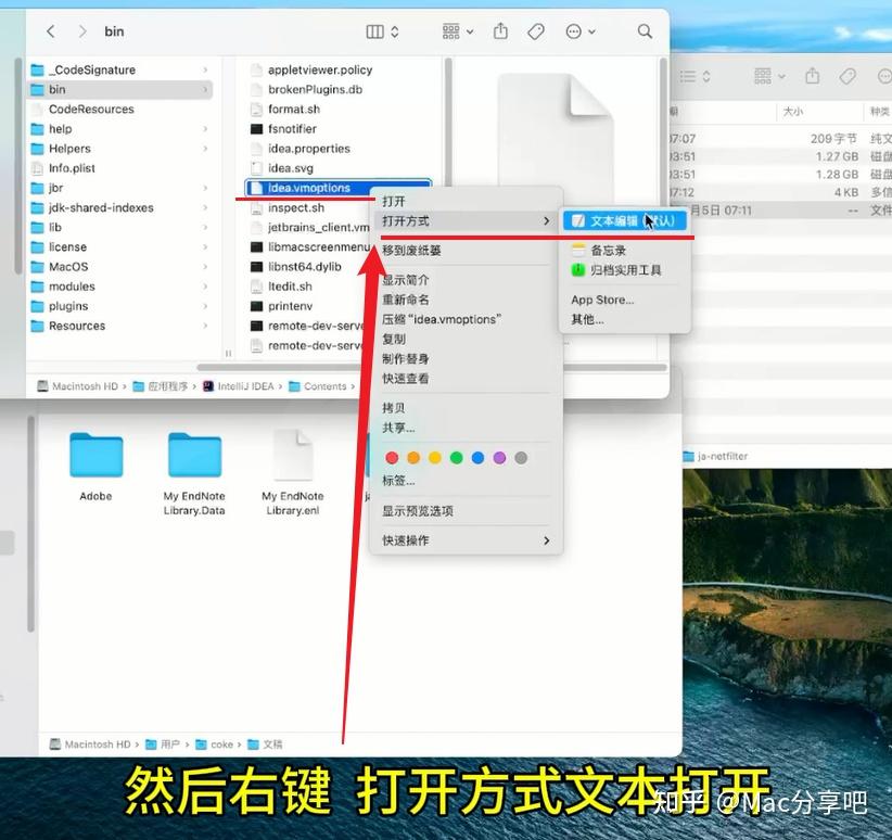 IntelliJ IDEA2024 for Mac Java代码编辑器 - 知乎