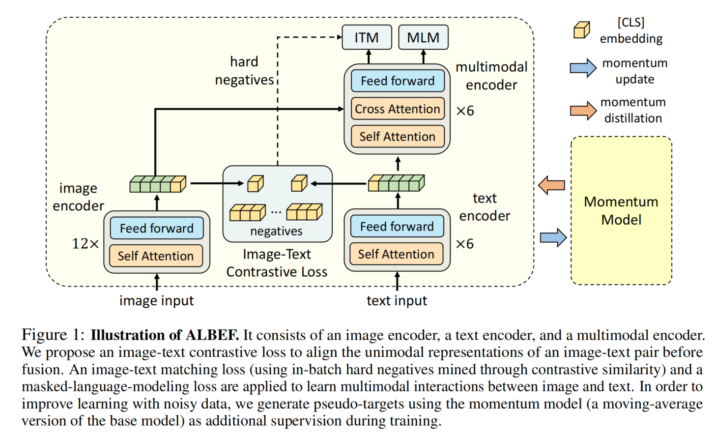 源码解析ALBEF：带动量蒸馏的视觉和语言表示学习 - 知乎