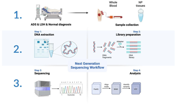 ceRNA机制研究常见套路 - 知乎