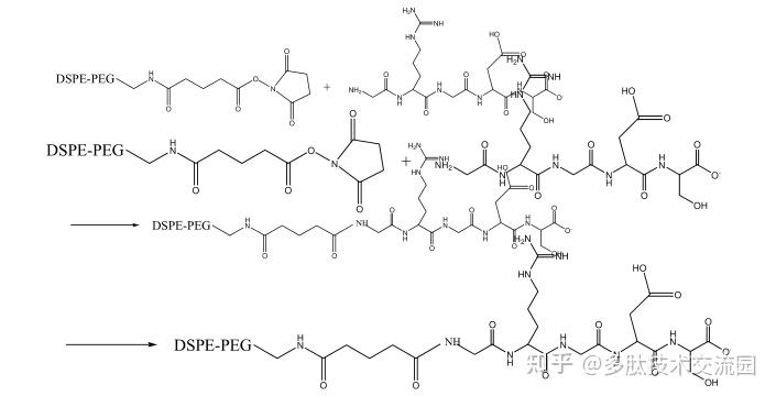 PEP-FOLD手指状多肽的设计，合成和特征 - 知乎