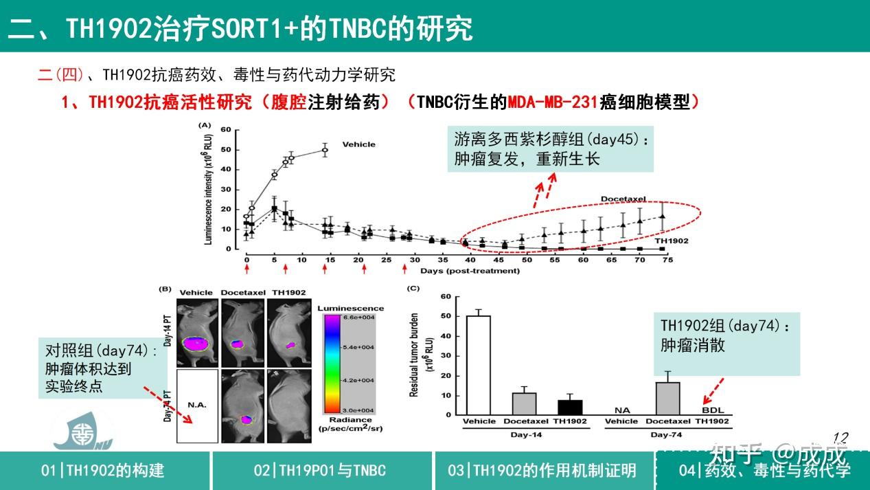 文献解读| TH1902，一种新的多西他赛肽偶联物，用于治疗sortilin阳性的三阴性乳腺癌 - 知乎