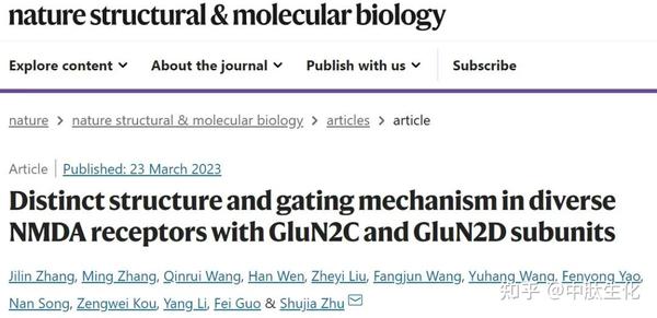 竺淑佳团队揭示NMDA受体功能多样性的分子基础 - 知乎