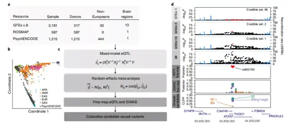 Nature Genetics| 多变量eQTL方法发现精神疾病潜在机制 - 知乎