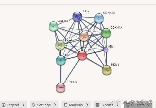 一网打尽：cytoscape详细教程 - 知乎