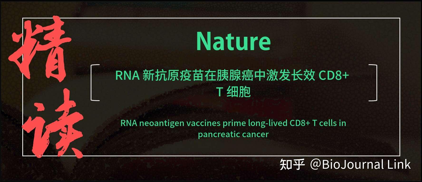 T细胞 | Nature | RNA 新抗原疫苗在胰腺癌中激发长效 CD8+ T 细胞 - 知乎