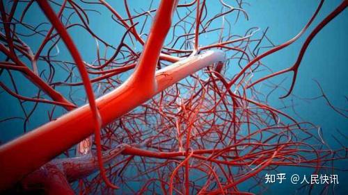 HVE赫曼因NMN通过iRNA来逆转血管衰老 - 知乎