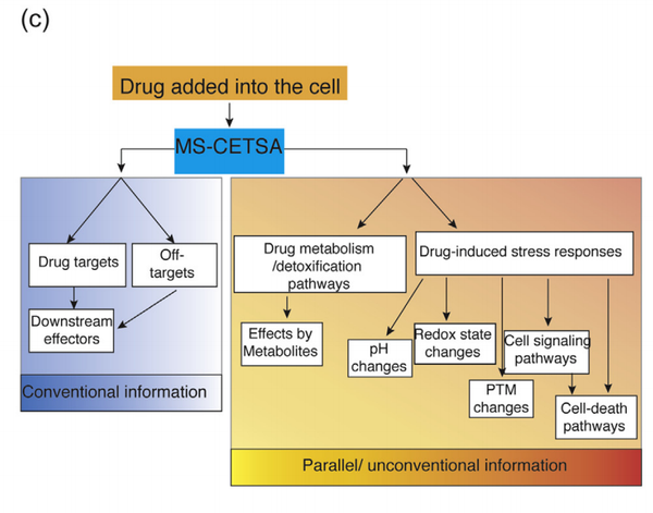 技术| Cellular Thermal Shift Assay（CETSA） - 知乎