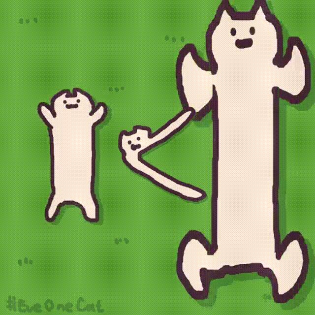 魔性猫猫everyday one cat 表情包 - 知乎