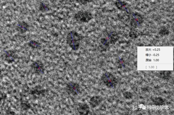 Nano measurer使用教程 - 知乎